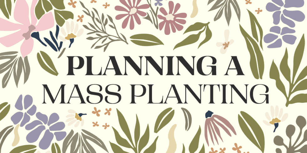 Elevate Your Garden Design: The Power of Mass Planting - Anawalt Lumber ...